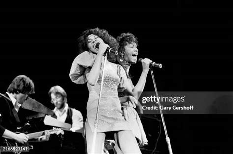 2 224 June Pointer Photos And High Res Pictures Getty Images
