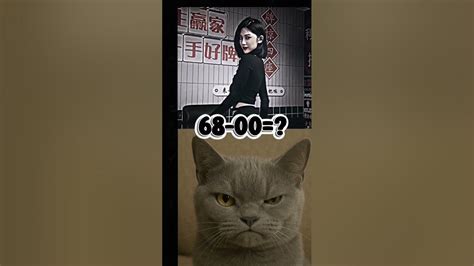 Hehe Cat 😺 Cat Meme Funny Youtube