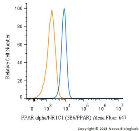 Ppar Alphanr1c1 Antibody 3b6ppar Bsa Free 100 Ug Unconjugated