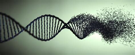 The Birth Of Modern Man Our Genomes Are Full Of Junk Dna That Could