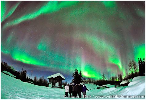 Where To See The Northern Lights In Alaska At Robert Bullock Blog