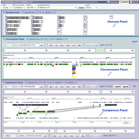 Vista Synteny · Genocattools