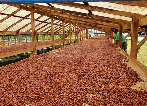 The Secret Formula To Silk Grass Farms Delicious Products — Silk Grass