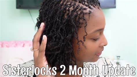 Sisterlocks On Finethin Hair 2 Month Update Youtube