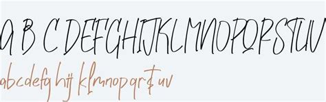 Constane Fonts Free Download Onlinewebfontscom