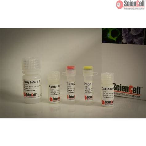 Sciencell Enzyme Activity Assay Kit Team Medical And Scientific Sdn Bhd