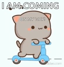 On My Way Cat Run  On My Way Cat Run Cat Discover And Share S