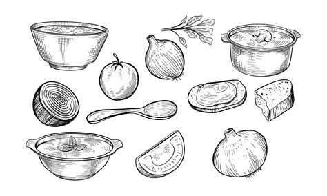 Premium Vector Handdrawn Illustration Of Soup Ingredients