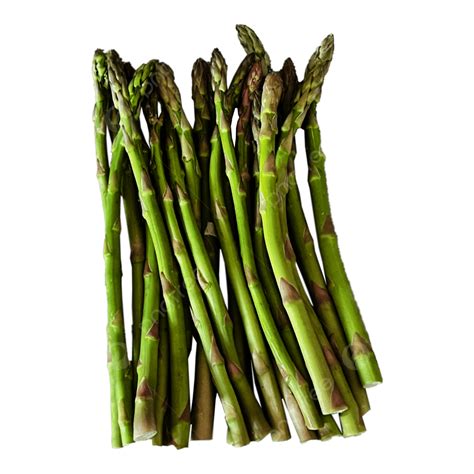 Asparagus Png Image Green Asparagus Png Asparagus Green Vegetable