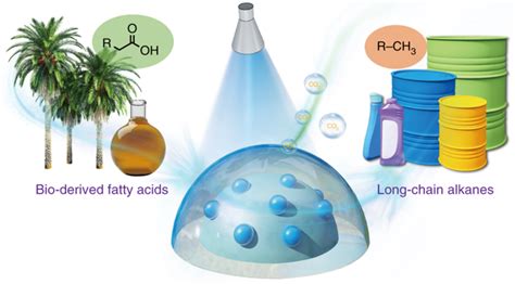 通过抑制自由基低聚反应增强脂肪酸脱羧反应产生的光催化烷烃nature Catalysis X Mol