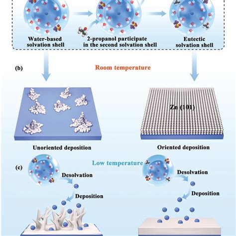 Regulation Of Outer Solvation Shell Toward Superior Low‐temperature