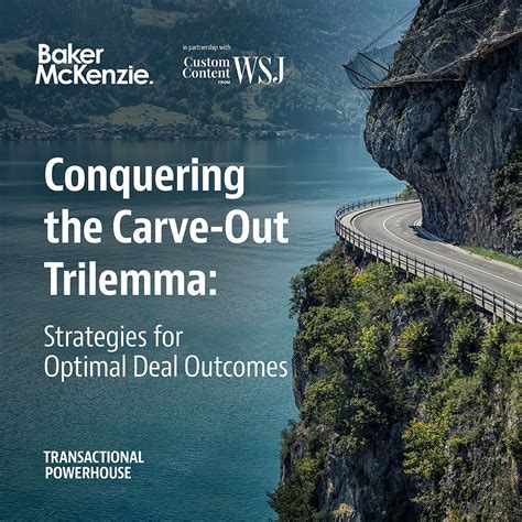 Carve Out Transactions Are Complex But With Effective Execution Nancy Hamzo Posted On The