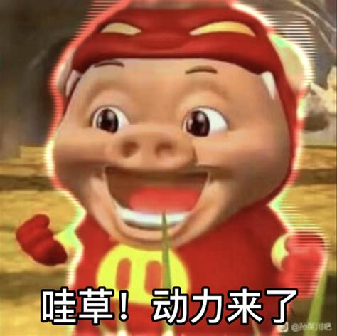 猪猪侠表情包x52（持续更新） 哔哩哔哩