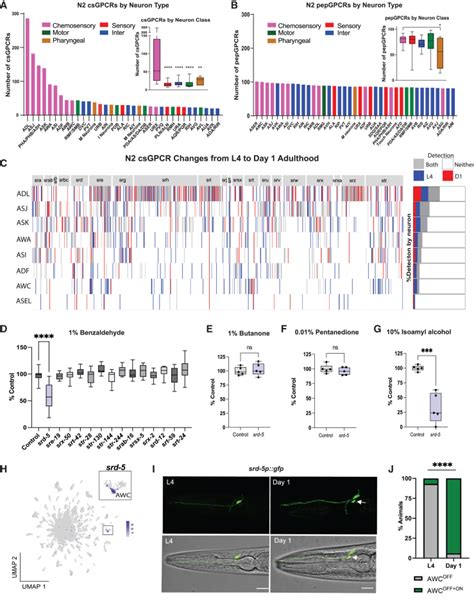Adult Single Nucleus Neuronal Transcriptomes Of Insulin Signaling