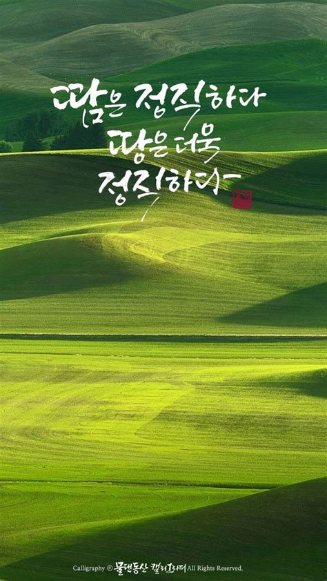 봄 캘리그라피 손글씨 영감을 주는 인용구 배경