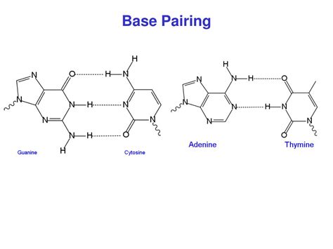 ppt microarray normalization error models quality powerpoint