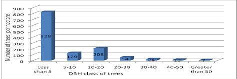 Distribution Of Dbh Class Of Trees Download Scientific Diagram