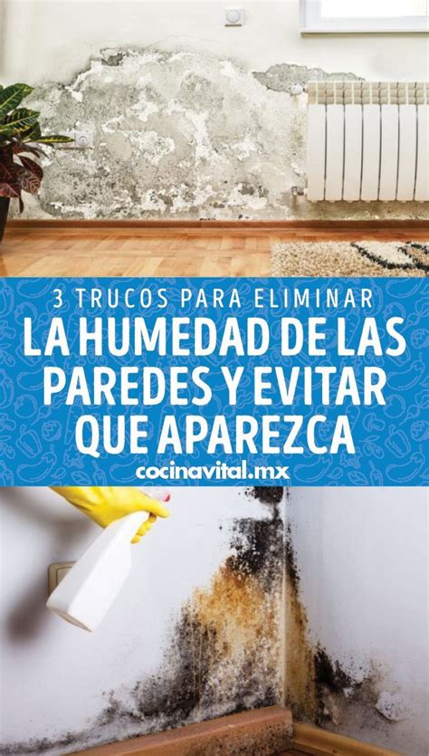 Trucos Para Eliminar La Humedad De Las Paredes Y Evitar Que Aparezca