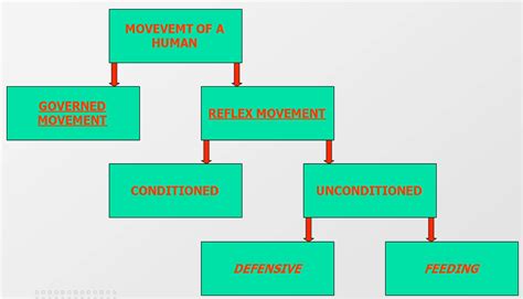 Cyclic Movement Example