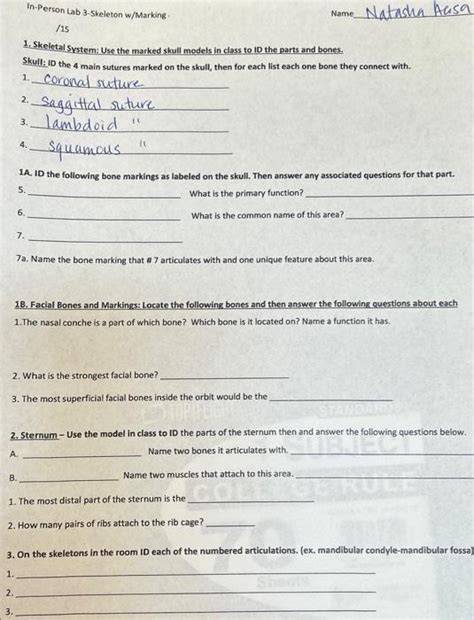 In Person Lab 3 Skeleton W Marking 2 A B 2 15 1