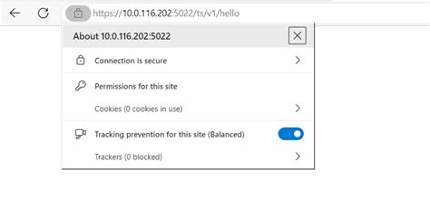 Configuring Ricoh Sop Terminal Server Ca Installation Dispatcher