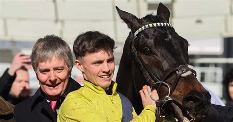 Barry Connell Favouring Switch To Fences For Supreme Winner Marine Nationale Irish Mirror Online