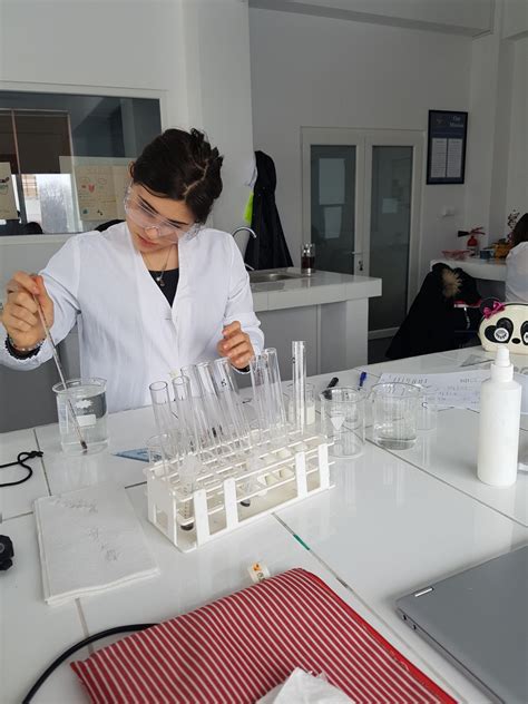 Science Involves Developing Practical Skills International British