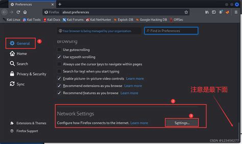 kali linux自带firefox esr设置代理 kali火狐浏览器设置代理 csdn博客