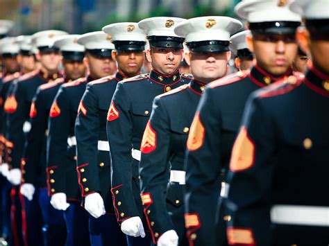 U S Military Branches By The Numbers