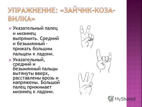Презентация на тему: "По кинезиологическим упражнениям. Поочередно и ...