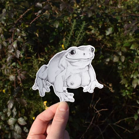 Sexy Frog Vinyl Sticker Etsy