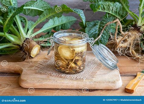 Preparation Of Alcohol Tincture From Wild Teasel Root Stock Image