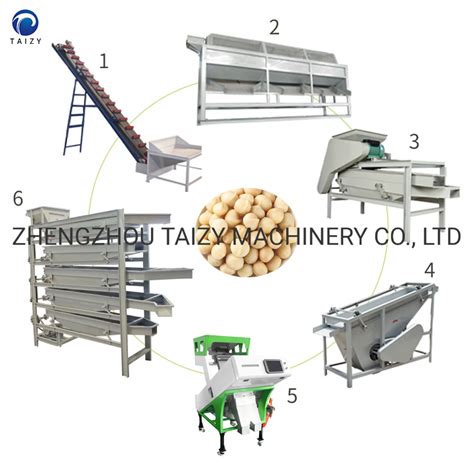 Automatic Walnut Shelling Machine Almond Cracker Macadamia Nuts Processing Machine Macadamia