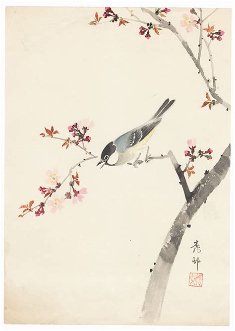 Shin Hanga And Modern Artist Not Read Bird In A Blossoming Cherry Tree