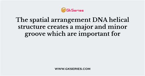 The Spatial Arrangement Dna Helical Structure Creates A Major And Minor