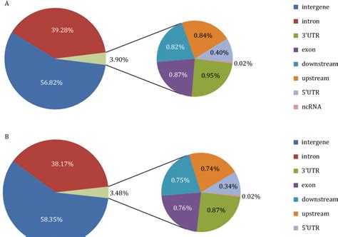 Distribution Of Single Nucleotide Polymorphisms In The Genome Of The Download Scientific