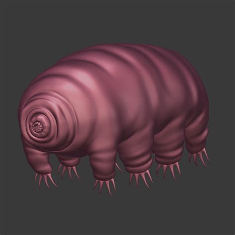 Microscopic Bear 3d Model Turbosquid 1421042