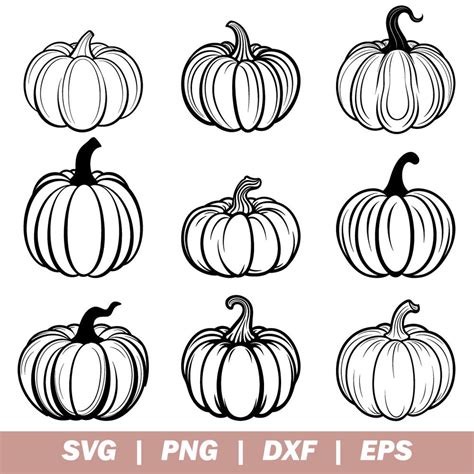 Pumpkin Svg Bundle Pumpkin Outline Svg Pumpkin Svg For Cricut