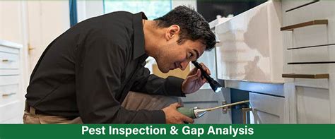 Pest Inspection And Gap Analysis Pestex