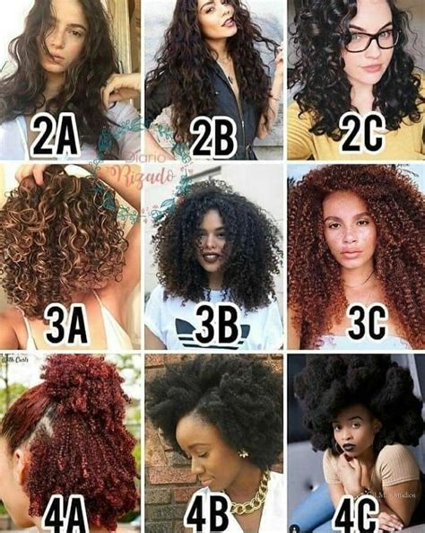 Hair Type Guide Curly Hair Care Curly Hair Tips Style Curly Hair Curly Hair Products Hair Type Guide Curly Hair Care Curly Hair Tips Style Curly Hair Curly Hair Products