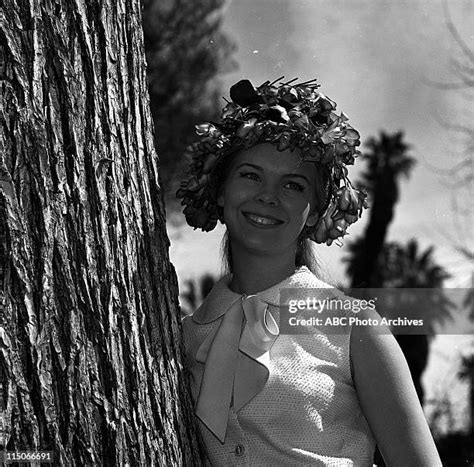 45 Janet Landgard Gallery Photos And High Res Pictures Getty Images