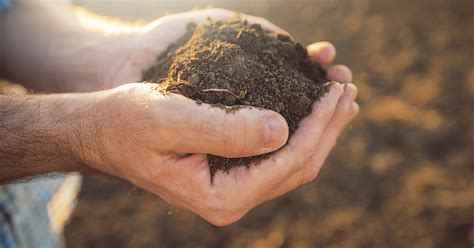 Top Soil Science Journal Publishes Peer Reviewed Paper On Indigo Ags Carbon Quantification Model