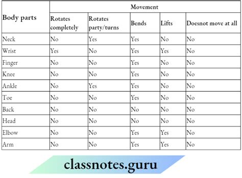 Ncert Class 6 Science Chapter 5 Body Movement Question And Answers Class Notes