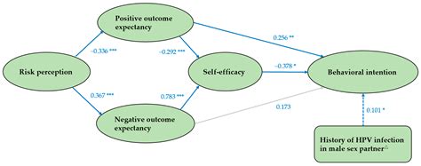 The Potential Risk Compensation After Receiving Hpv Vaccination Among