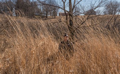 Best Deer Bedding Cover Whitetail Habitat Solutions