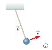Solved One End Of A Cord Is Fixed And A Small Kg Chegg