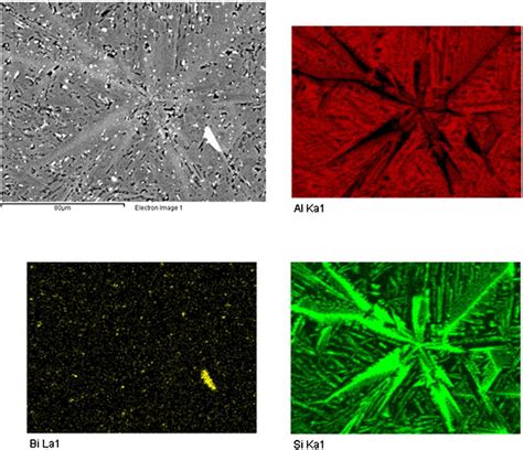 Sem Image In Bse Signal Of An Al 18 Wt Si 3 2 Wt Bi Alloy Sample