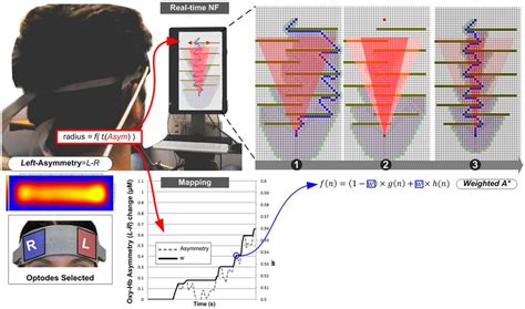 Experiment Ii—subjects Equipped With An Fnirs Sensor Engage In A Nf