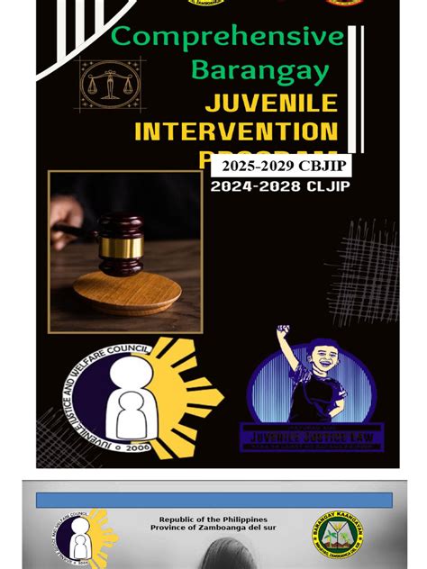 Comprehensive Barangay Juvenile Plan 2024 2026 Pdf Juvenile