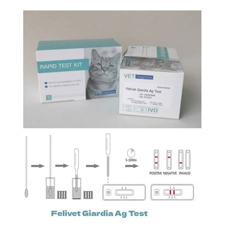Giardia Antigen Test Labcorp At Delbert Sanders Blog
